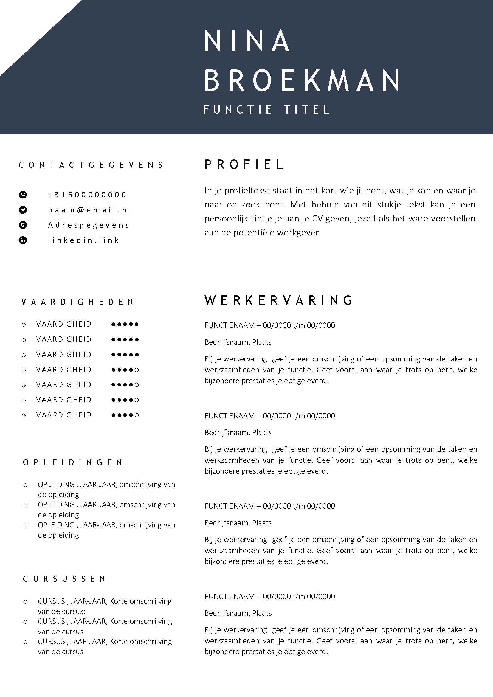 Gratis cv template